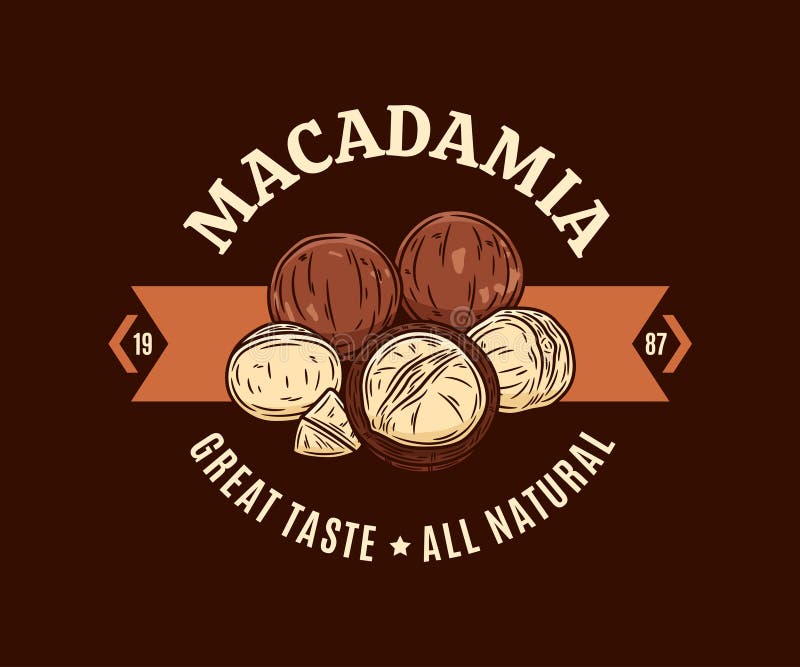 Vector Macadamia Colorful Logo Stock Vector - Illustration of culinary ...