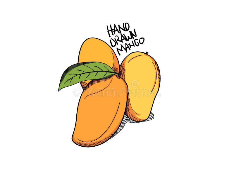 Vector Mango Hand Drawn Style Stock Vector - Illustration of hand, logo ...
