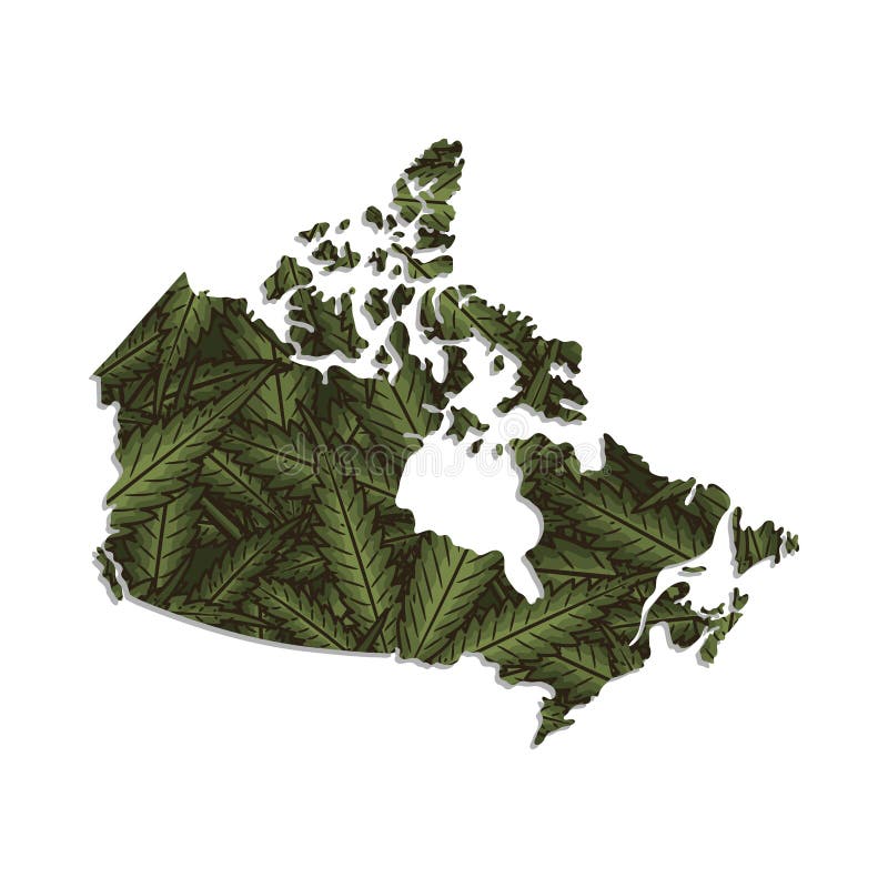 Vector Map of the Canada with a Background of Marijuana Leaves ...