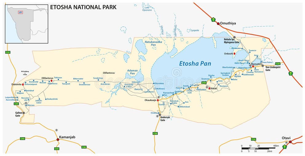Vector Map of Etosha National Park in Northwest Namibia Stock Vector ...
