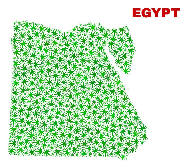 Marijuana Leaves Mosaic Egypt Map Stock Vector - Illustration of ...