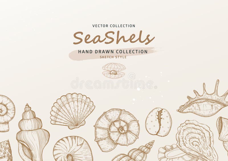 Vector Marine Design with Horizontal Frame Border of Various Mollusk ...