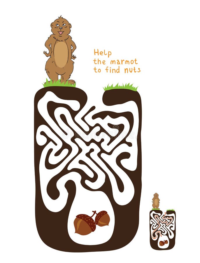 Vector Maze, Labyrinth with Marmot and Nut Stock Vector - Illustration ...