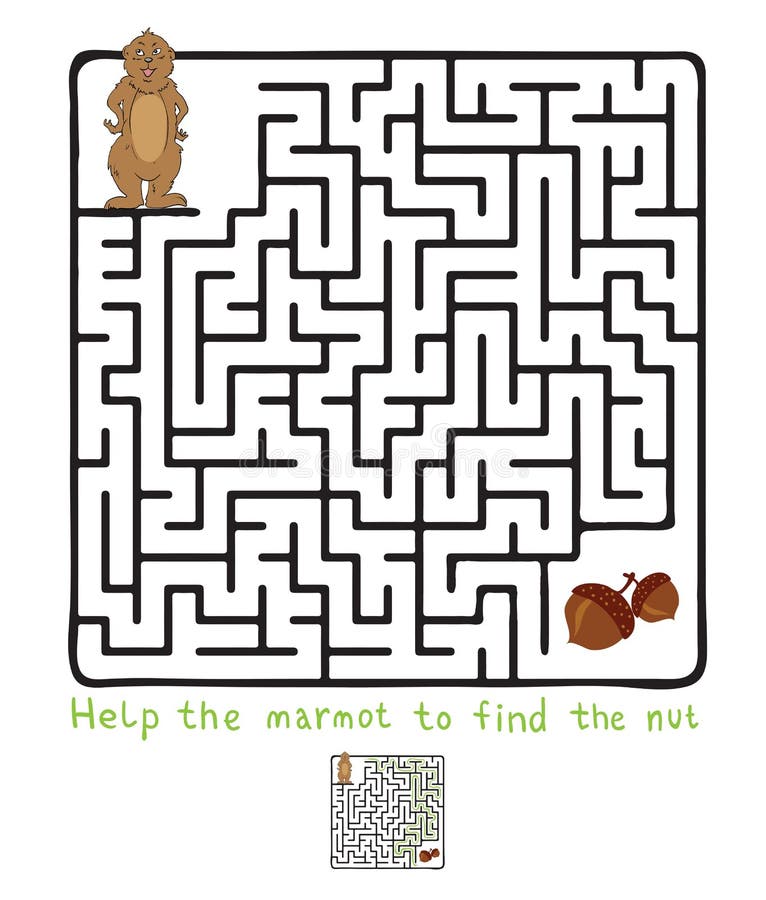 Vector Maze, Labyrinth with Marmot and Nut Stock Vector - Illustration ...