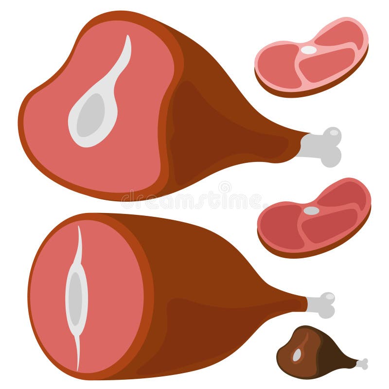 Vector Meat Leg. Meat Delicacy Isolated on a White Background Stock ...