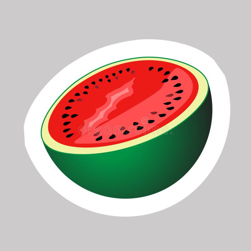 Vector Melon Icon stock vector. Illustration of reflection - 42276982