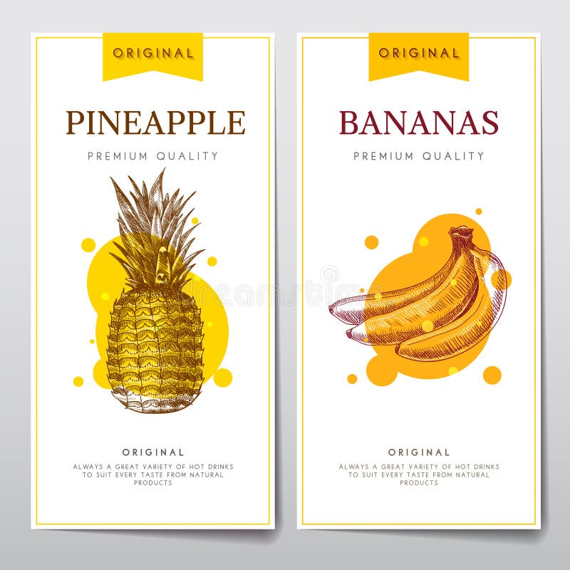 Vector Menus on the Theme of Fruits. Stock Vector - Illustration of ...