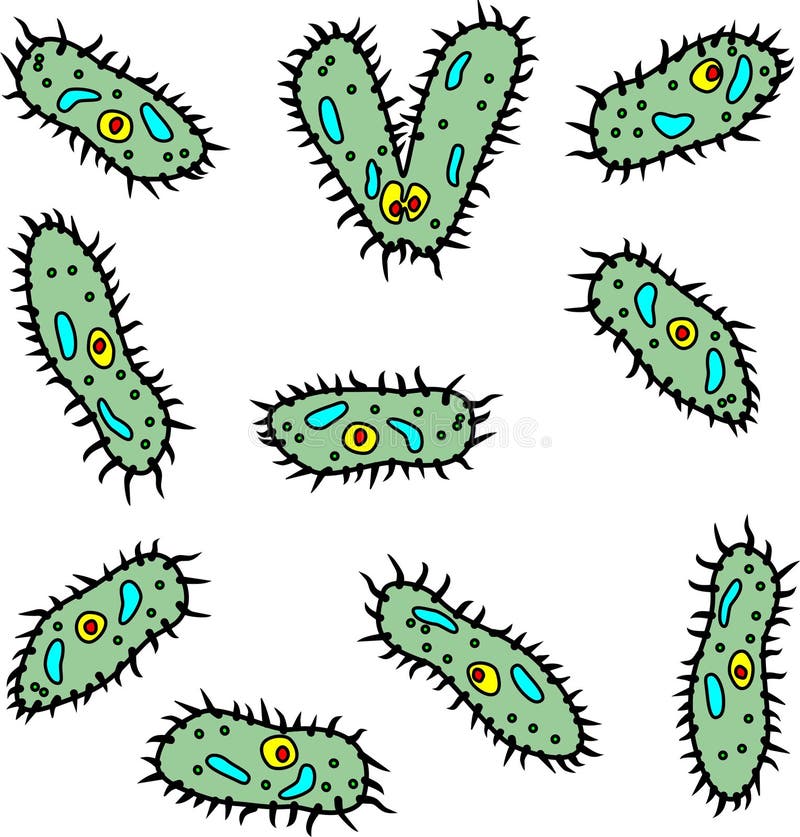 Protozoa stock vector. Illustration of chlamydomona, microorganism ...