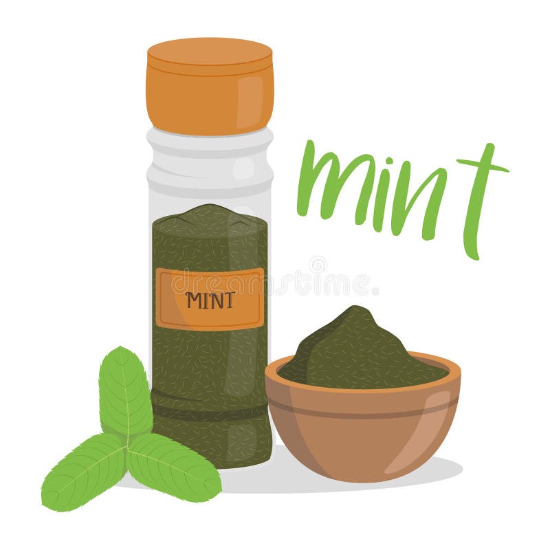Vector Mint Illustration Isolated in Cartoon Style. Herbs and Species ...