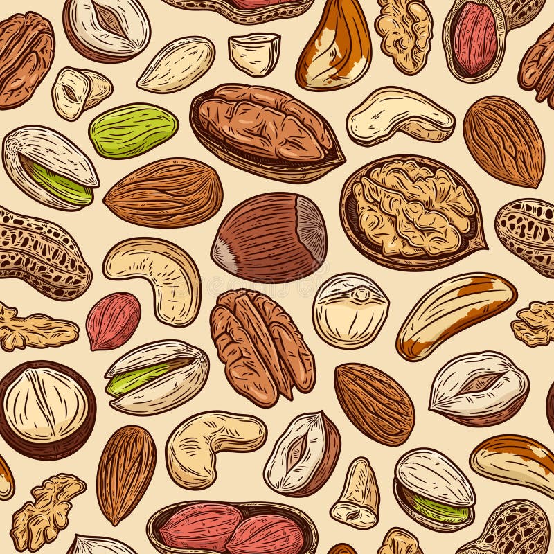 Vector Mixed Nuts Seamless Pattern Stock Vector - Illustration of ...