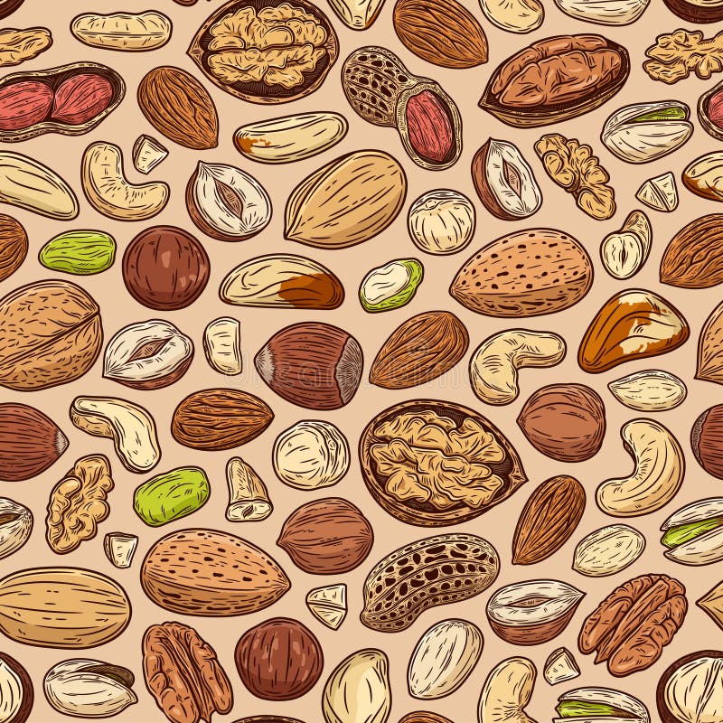 Vector Mixed Nuts Seamless Pattern Stock Vector - Illustration of ...
