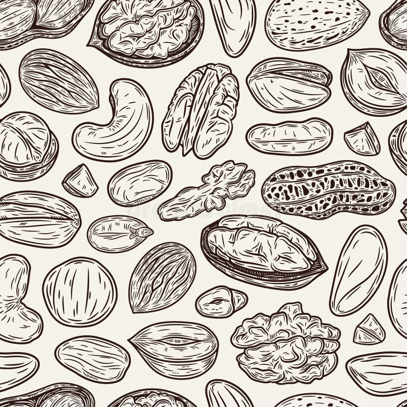Nuts Seamless Patern. Assorted Nuts on Light Background Stock Vector ...