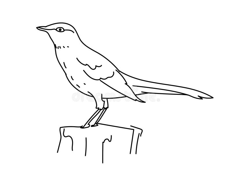 Vector Mockin Bird Illustration .Doodle Bird Stock Vector ...