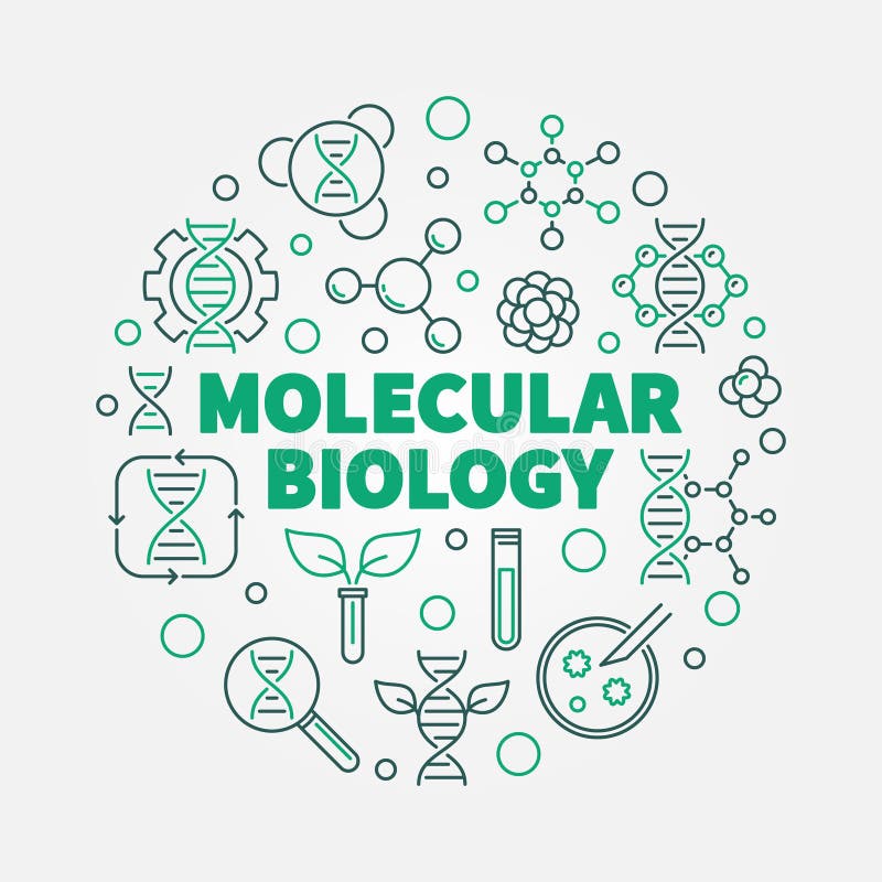 Vector Molecular Biology Round Illustration in Thin Line Style Stock ...
