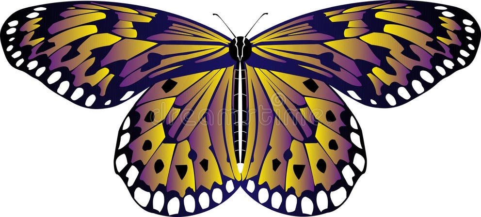 Vector monarch butterfly stock vector. Illustration of monarch - 235392654