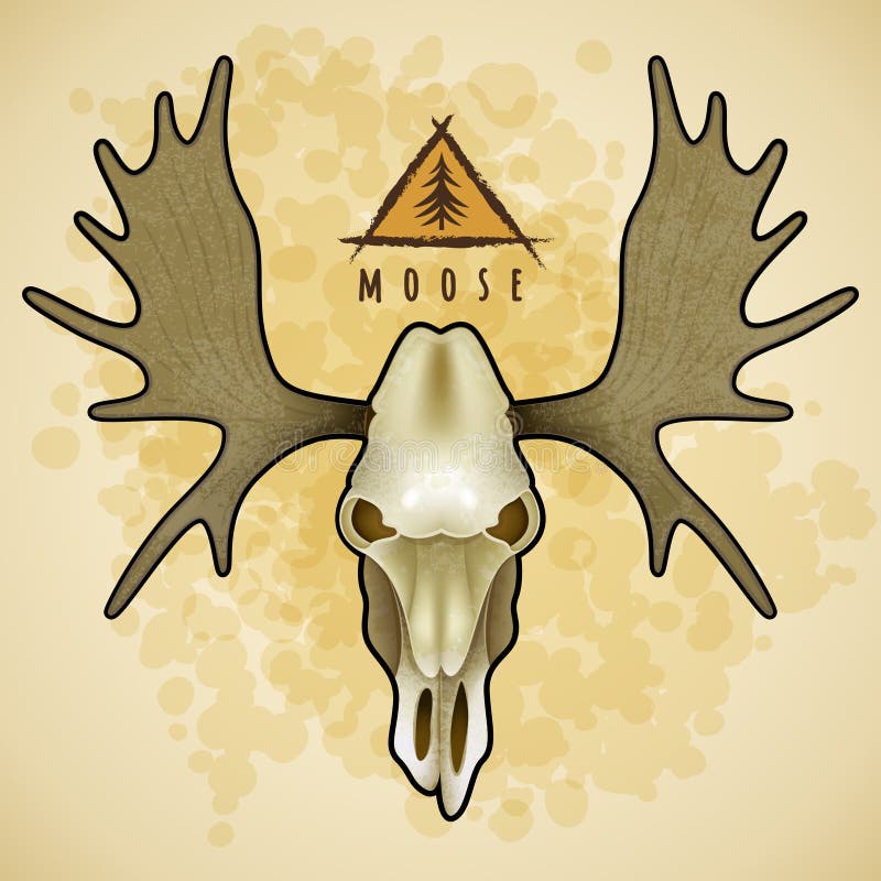 Vector Moose skull stock vector. Illustration of skull - 61921618