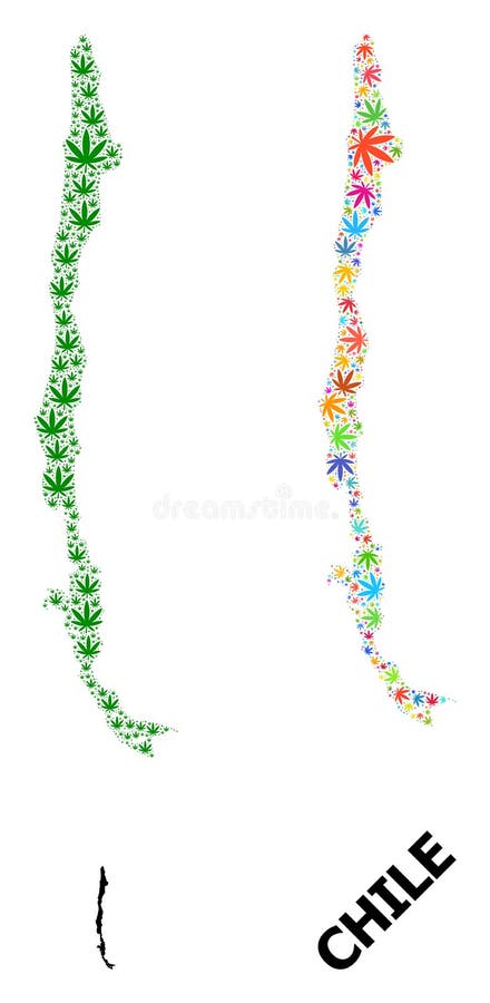 Vector Mosaic Map of Chile of Bright and Green Marijuana Leaves and ...