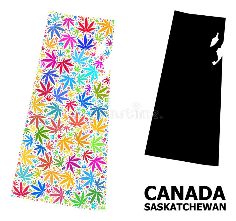 Vector Mosaic Map of Saskatchewan Province of Colored Marijuana Leaves ...