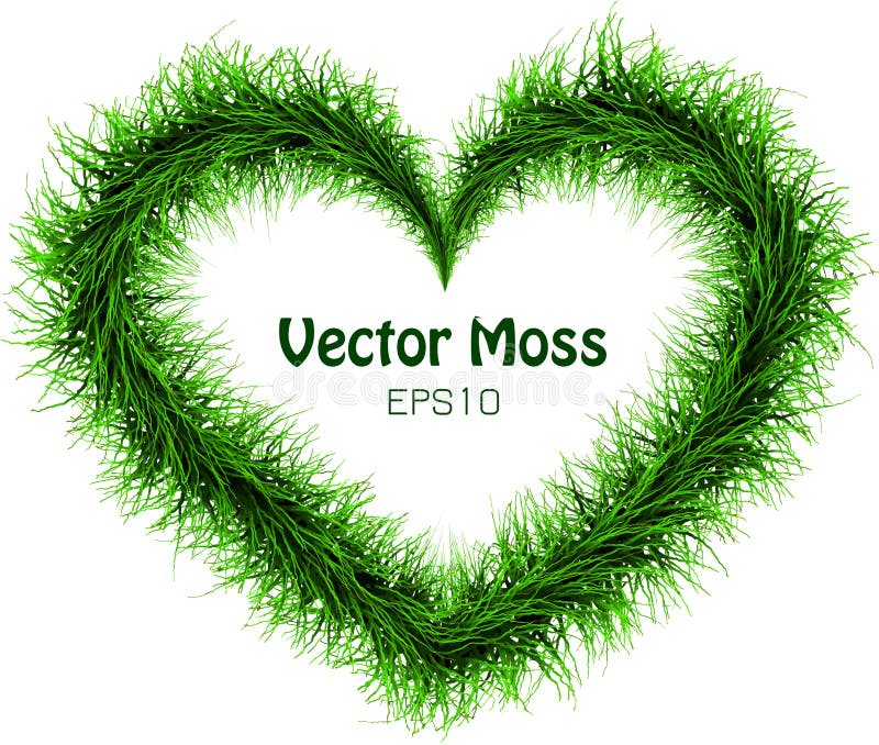 Vector Moss Wreath - Heart Isolated Herbal Vegetative Frame Stock ...
