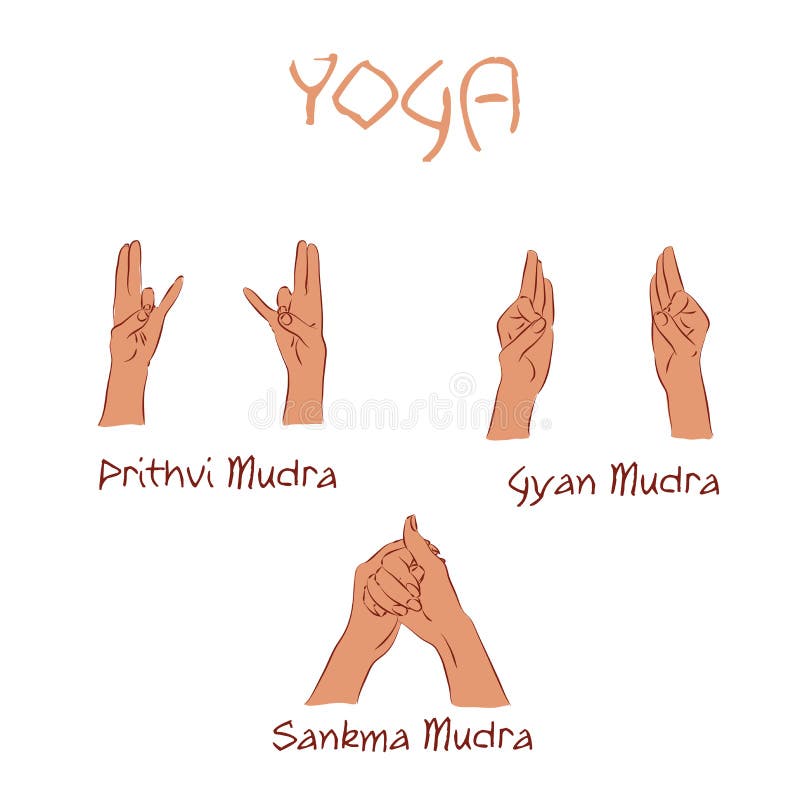 Vector Mudras Hands Color Isolated Line Fingers Stock Vector ...