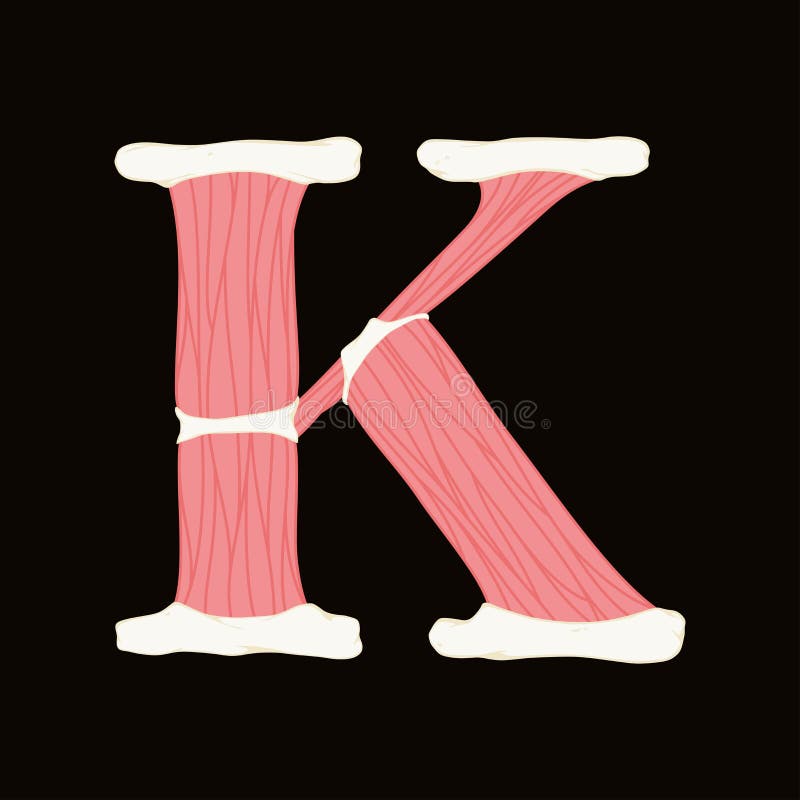 Vector Muscle Letter.Art Font. Stock Vector - Illustration of vector ...