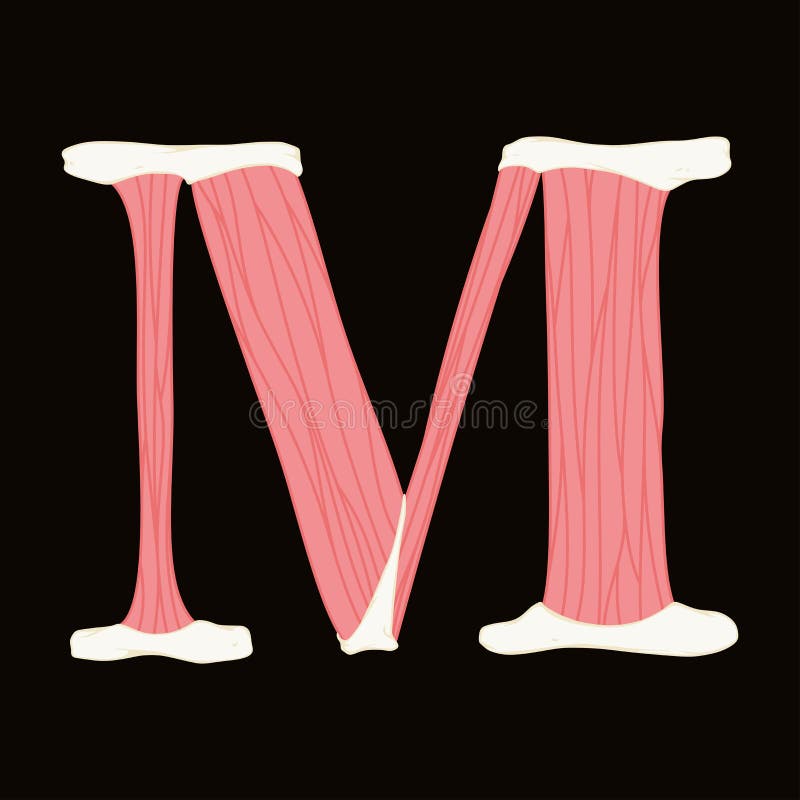 Vector Muscle Letter.Art Font. Stock Vector - Illustration of letterart ...
