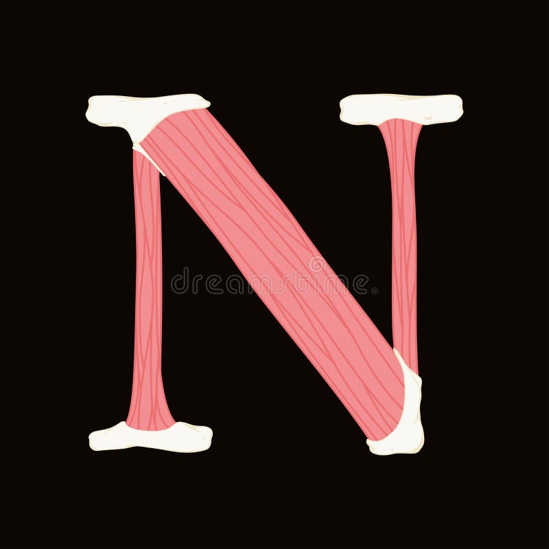 Muscle Letter Stock Illustrations – 1,566 Muscle Letter Stock ...
