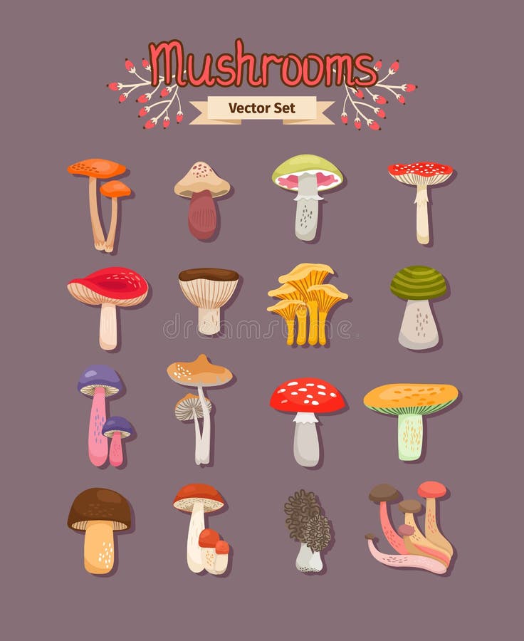 Vector Mushrooms Set Design Vector Illustration Stock Vector ...