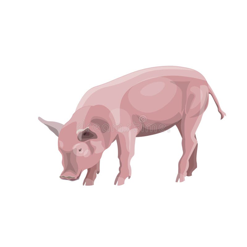 Vector nacional del cerdo ilustración del vector. Ilustración de carne ...