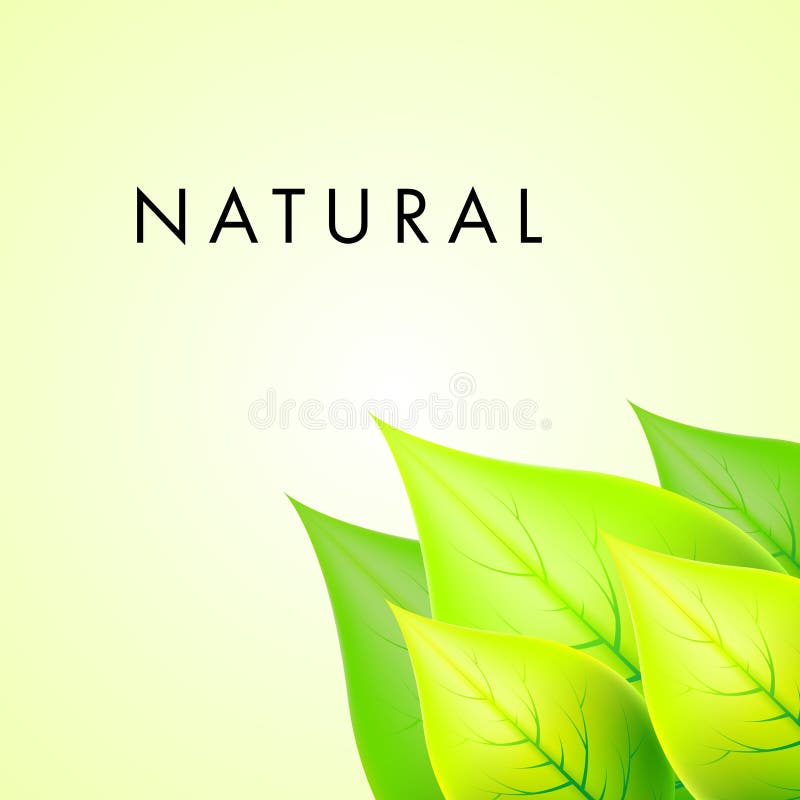 Vector Natural Design stock vector. Illustration of leaf - 64893829