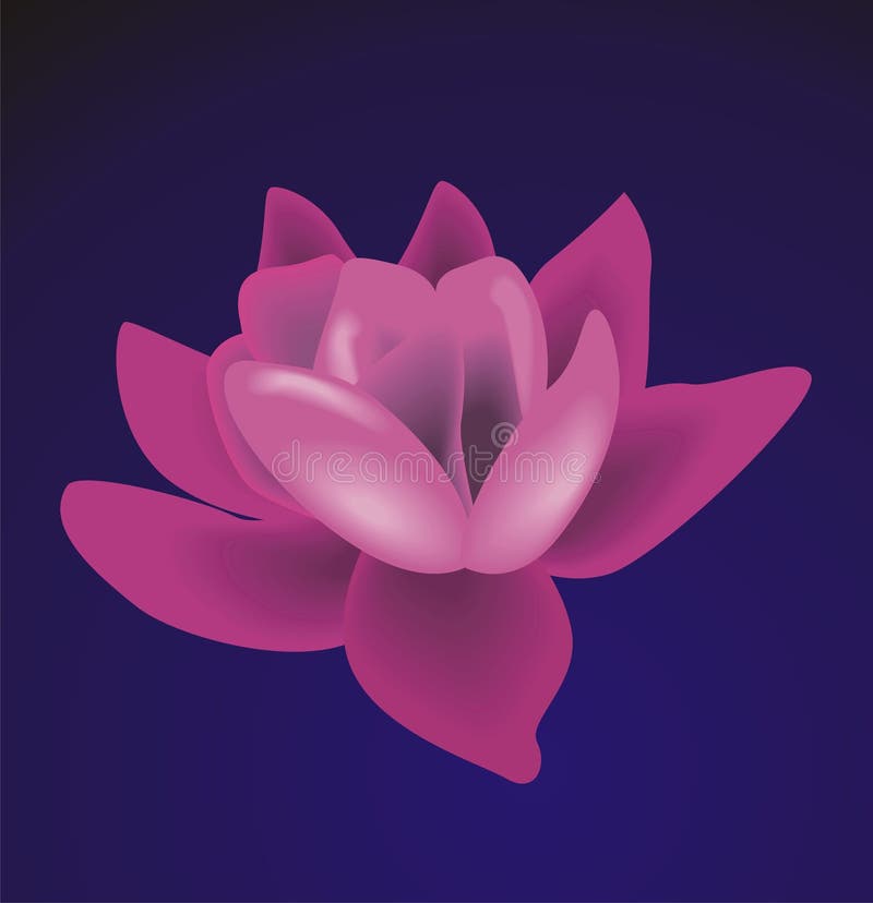 Vector nice flower stock vector. Illustration of design - 17194503