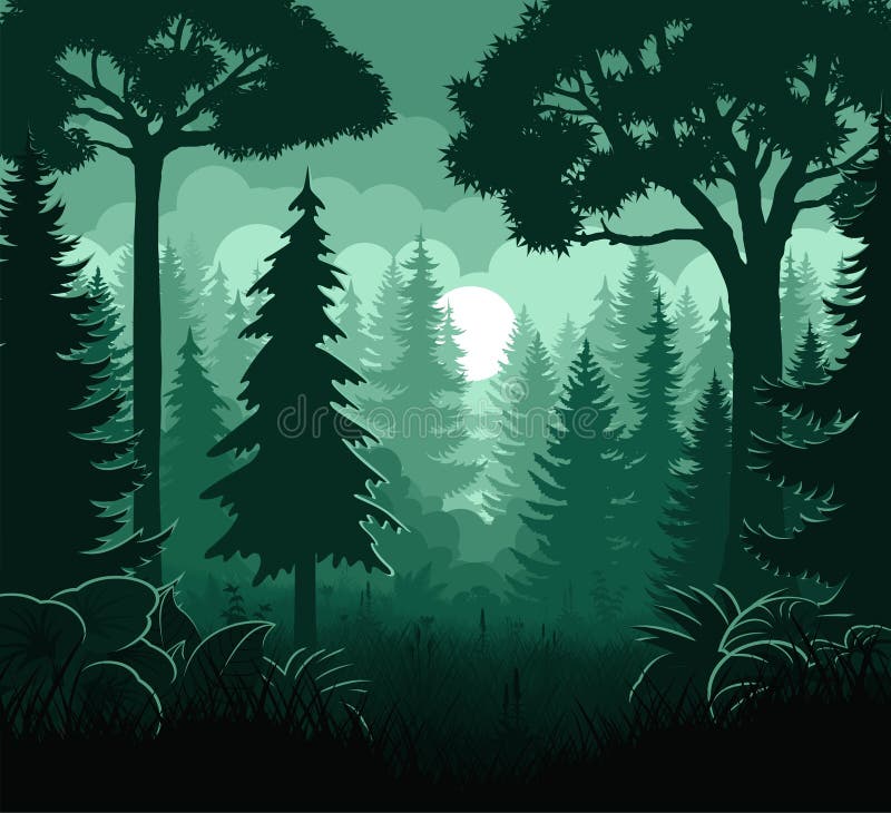 Vector Night with Moon in Woodland Forest Stock Vector - Illustration ...
