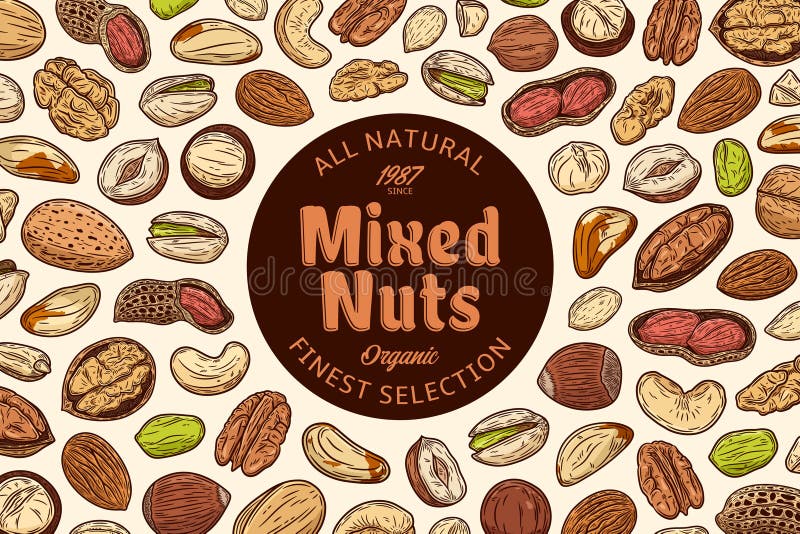 Vector Nuts Label, Different Types of Nuts Illustration Stock Vector ...