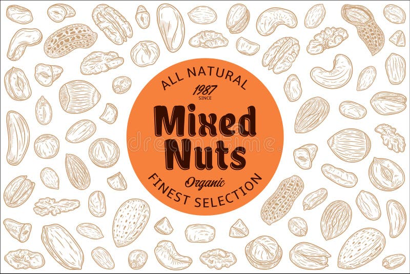 Vector Nuts Label, Nut Kernels and Shells Icons Stock Vector ...