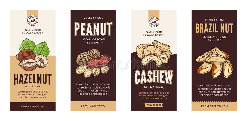 Vector Nuts Labels in Modern Style Stock Vector - Illustration of ...