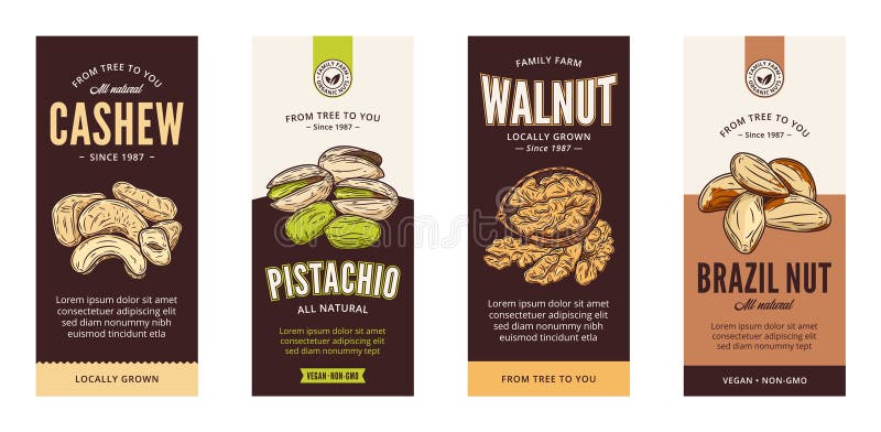 Vector Nuts Labels in Modern Style Stock Vector - Illustration of ...