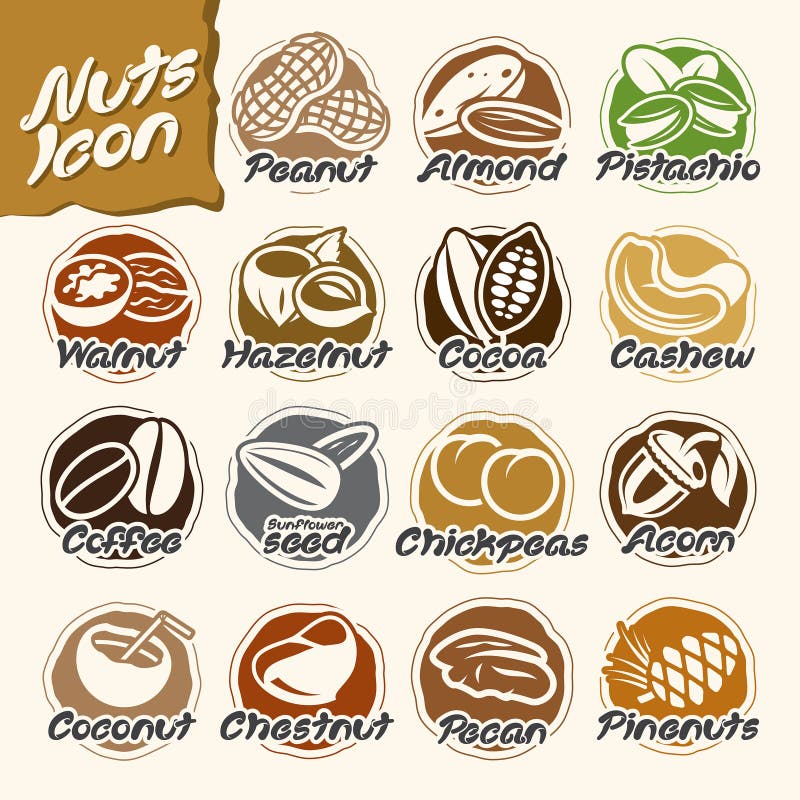 Vector Nuts Multiple Icons Set Stock Vector - Illustration of nature ...