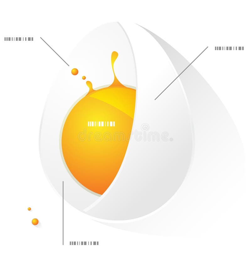 Vector o ovo ilustração do vetor. Ilustração de nearsighted - 4810497