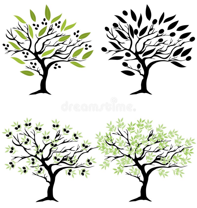 Vector Olive Trees stock vector. Illustration of culture - 93237540