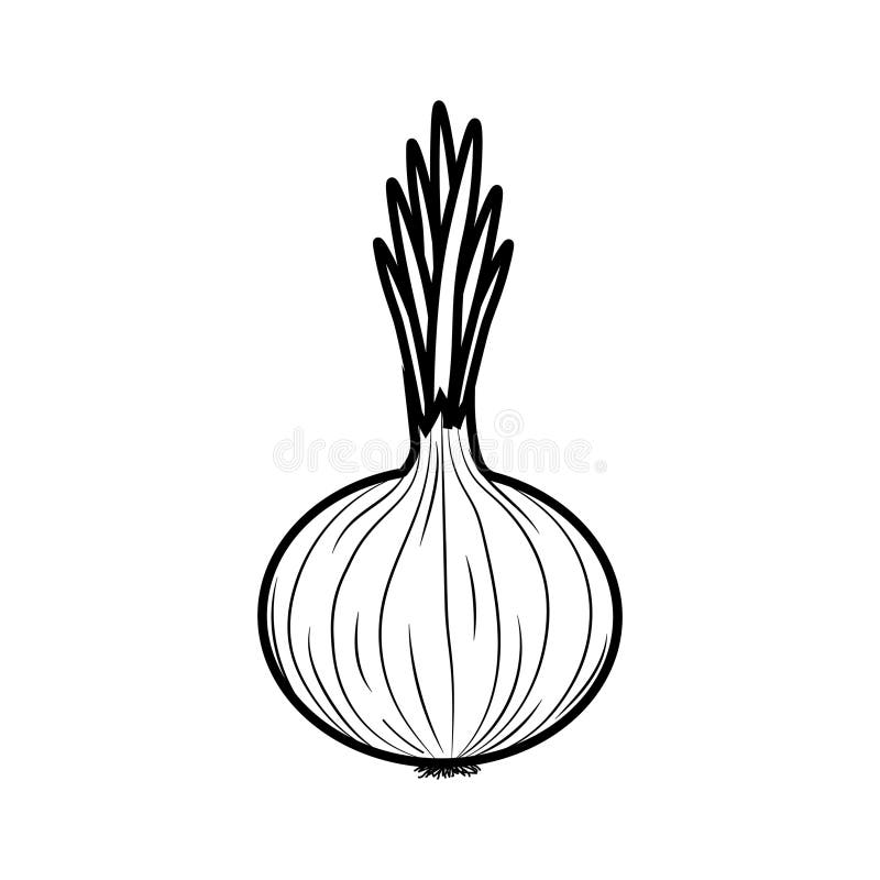 Onion icon. Vector stock vector. Illustration of navigation - 231221139