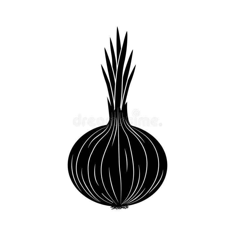 Onion icon. Vector stock vector. Illustration of navigation - 231221139
