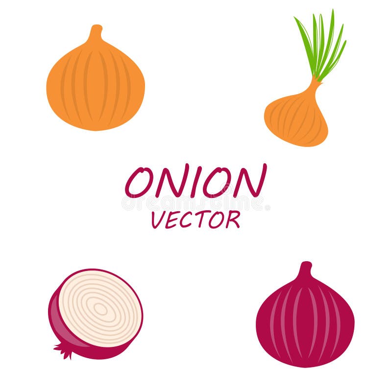 Vector Onion icons set stock illustration. Illustration of icon - 72869109