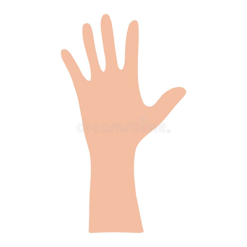 Vector of Opened Lamp of the Hand.Light-skinned Palm Stock Vector ...