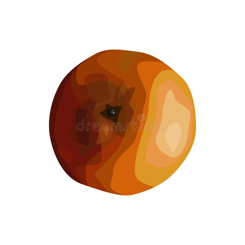 Vector orange stock vector. Illustration of freshness - 237213066