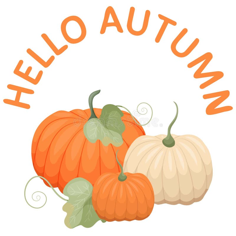 Vector Orange and White Pumpkins Set Illustration, Graphic Fall Harvest ...