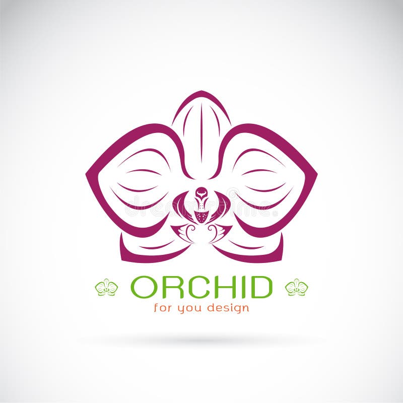 Vector of an Orchid Logo on a White Background. Stock Vector - Illustration of flora, decoration ...