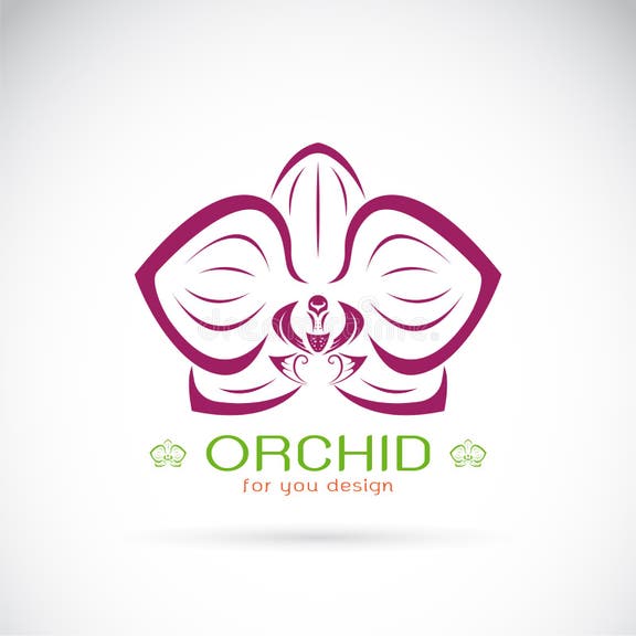 Vector of an Orchid Logo on a White Background. Stock Vector ...