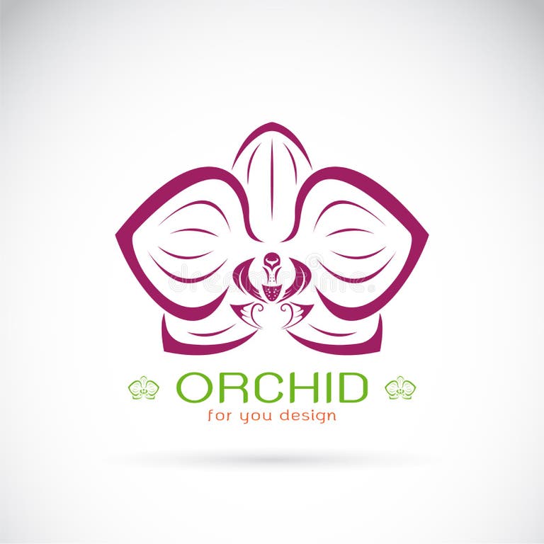 Vector of an Orchid Logo on a White Background. Stock Vector ...