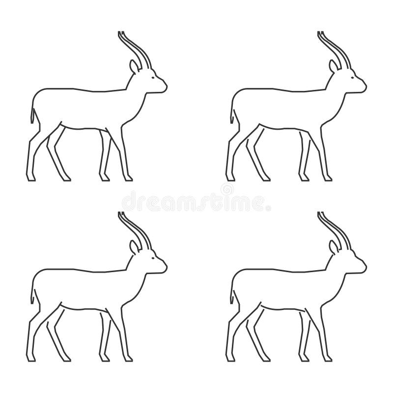 Springbok Stock Illustrations – 586 Springbok Stock Illustrations ...