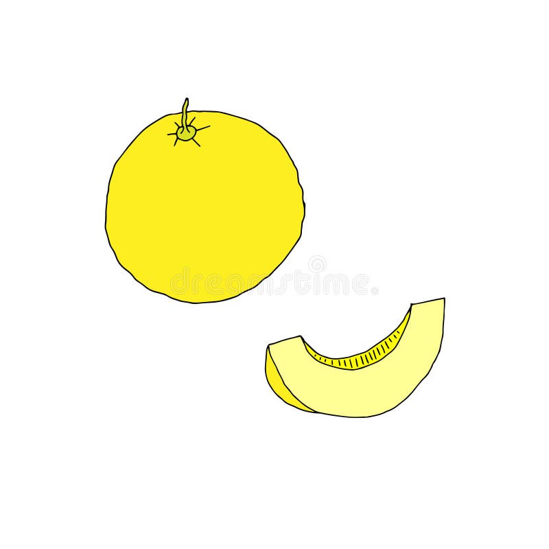 One Melon Stock Illustrations – 532 One Melon Stock Illustrations ...